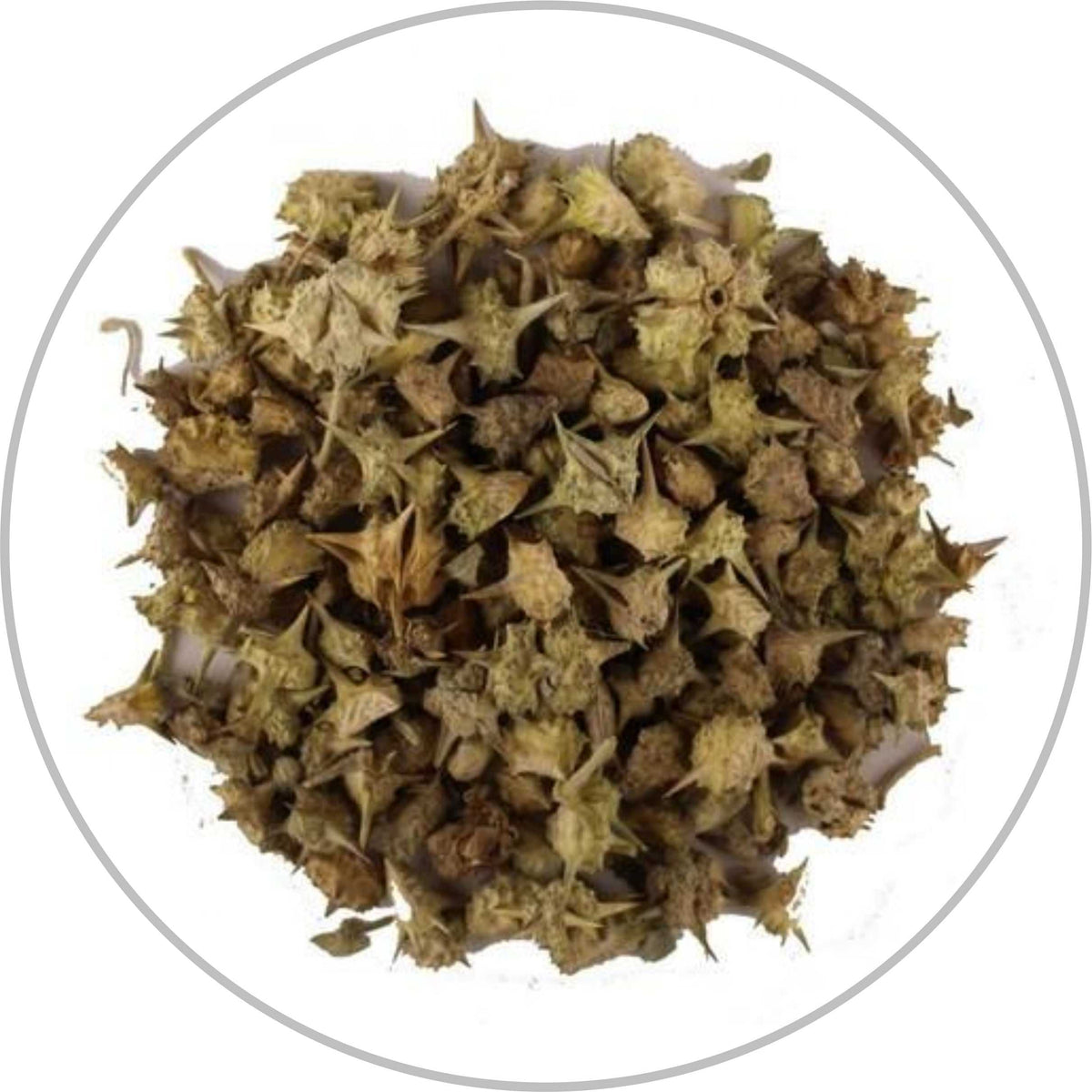 Ayurveda Redefined Chota Gokhru - Small Gokshura Gokhroo | Pure and Ef ...