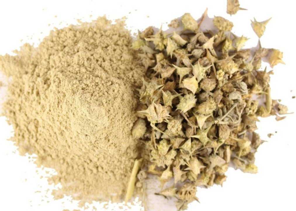 Ayurveda Redefined Gokhru Powder- Gokshura Powder Gokhroo | Pure and E ...