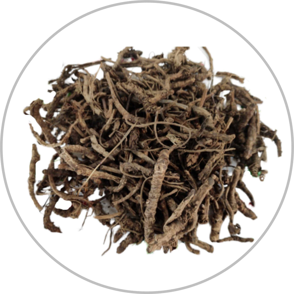 Ayurveda Redefined Pure Kutki Roots Picrorhiza kurrooa – Ayurveda Store ...