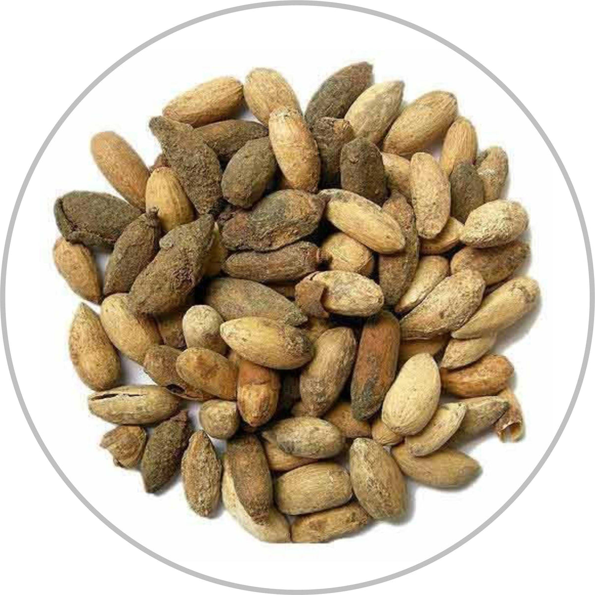 Ayurveda Redefined Neem Seeds dry Nimboli Azadirachta indica Neem Beej ...